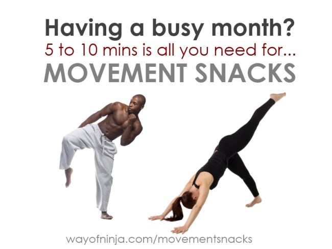 Movement Snacks for Busy People | Way Of Ninja
